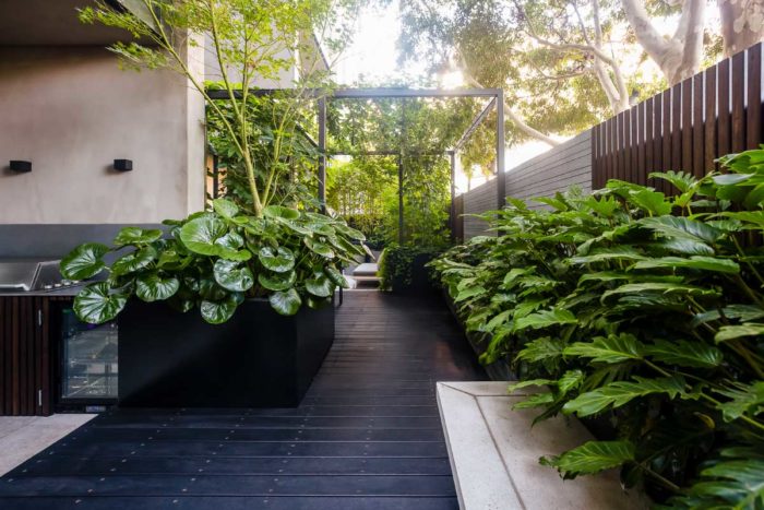 Lisa Ellis Gardens | Landscape Design & Horticultural Consulting