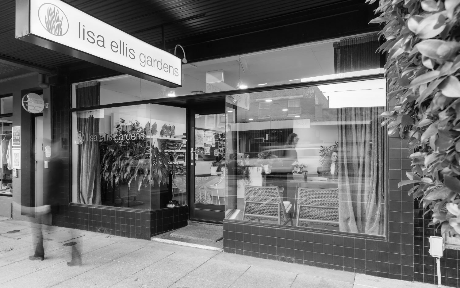 Ethos | Garden Design & Installations | Lisa Ellis Gardens