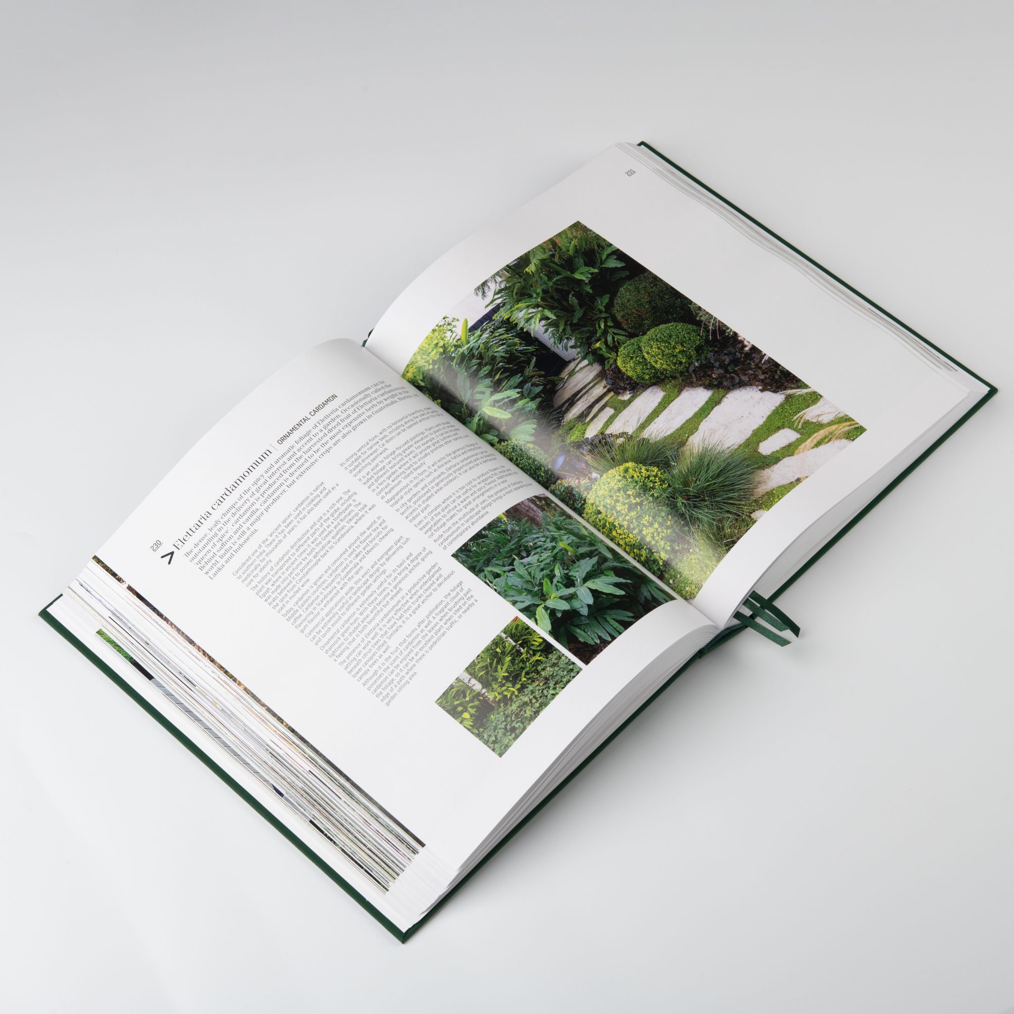 Plantology: The Essential Guide to Better Gardens - Lisa Ellis Gardens