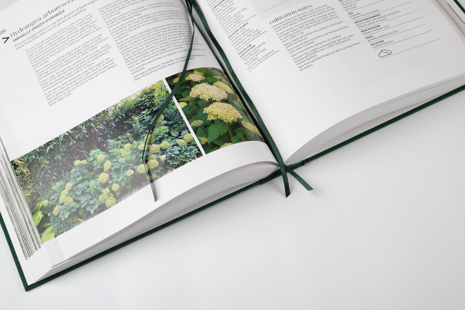 Plantology: The Essential Guide to Better Gardens - Lisa Ellis Gardens